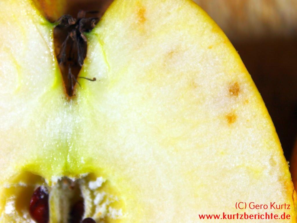 Ratgeber - Braune Punkte in Äpfeln - was ist das?